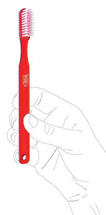 Fingertips - Personal Oral Hygiene